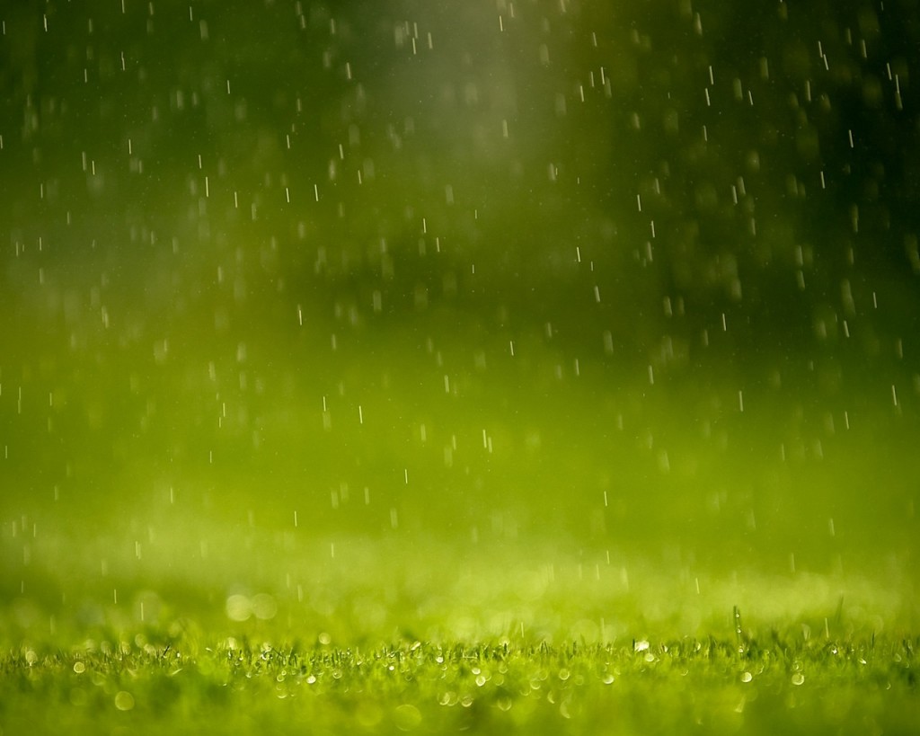 Rain - Quotes and Wallpapers - The Wondrous Pics